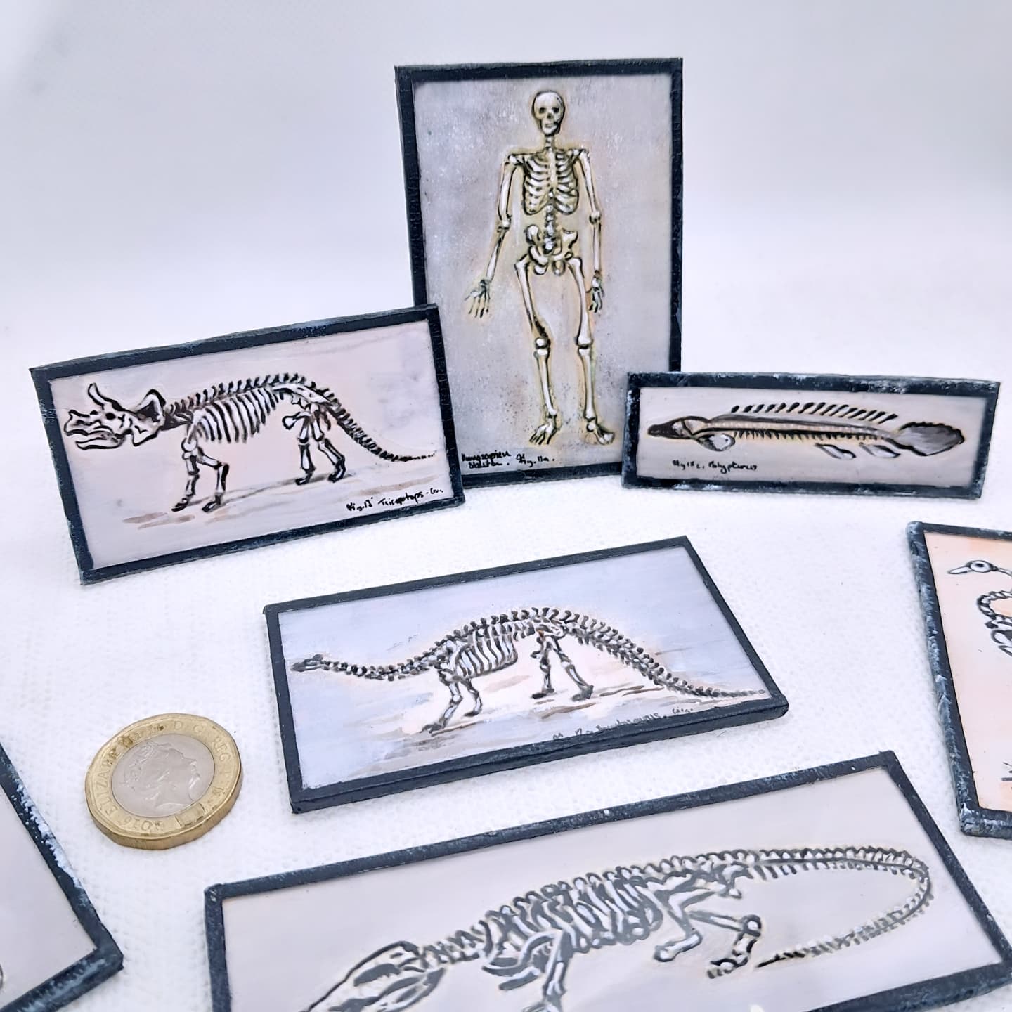 Dolls House Miniature Skeleton Artworks – Florence Felts Miniatures